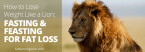 How to Lose Weight Like a Lion: Fasting and Feasting for Fat Loss | Fat ...