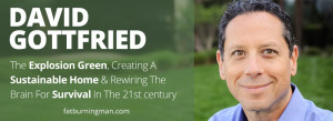 David Gottfried: The Explosion Green and Creating a Sustainable Home ...