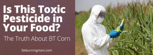 Is This Toxic Pesticide in Your Food? The Truth About BT Corn | Fat ...